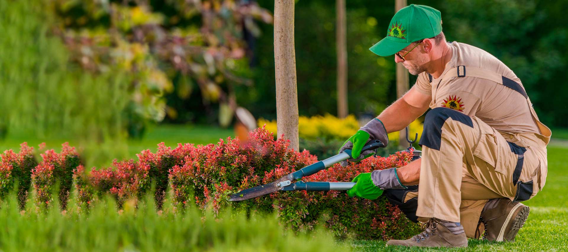 Home - Serafini Landscaping