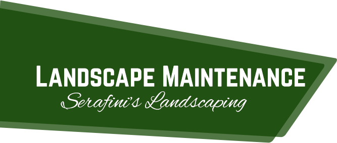 Landscape Maintenance - Serafini Landscaping